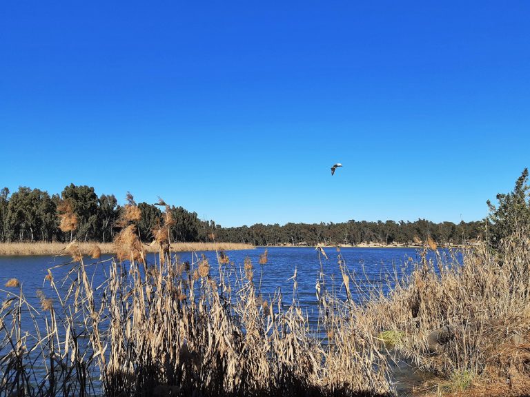 JOBURG FOR INTROVERTS – The Modderfontein Nature Reserve